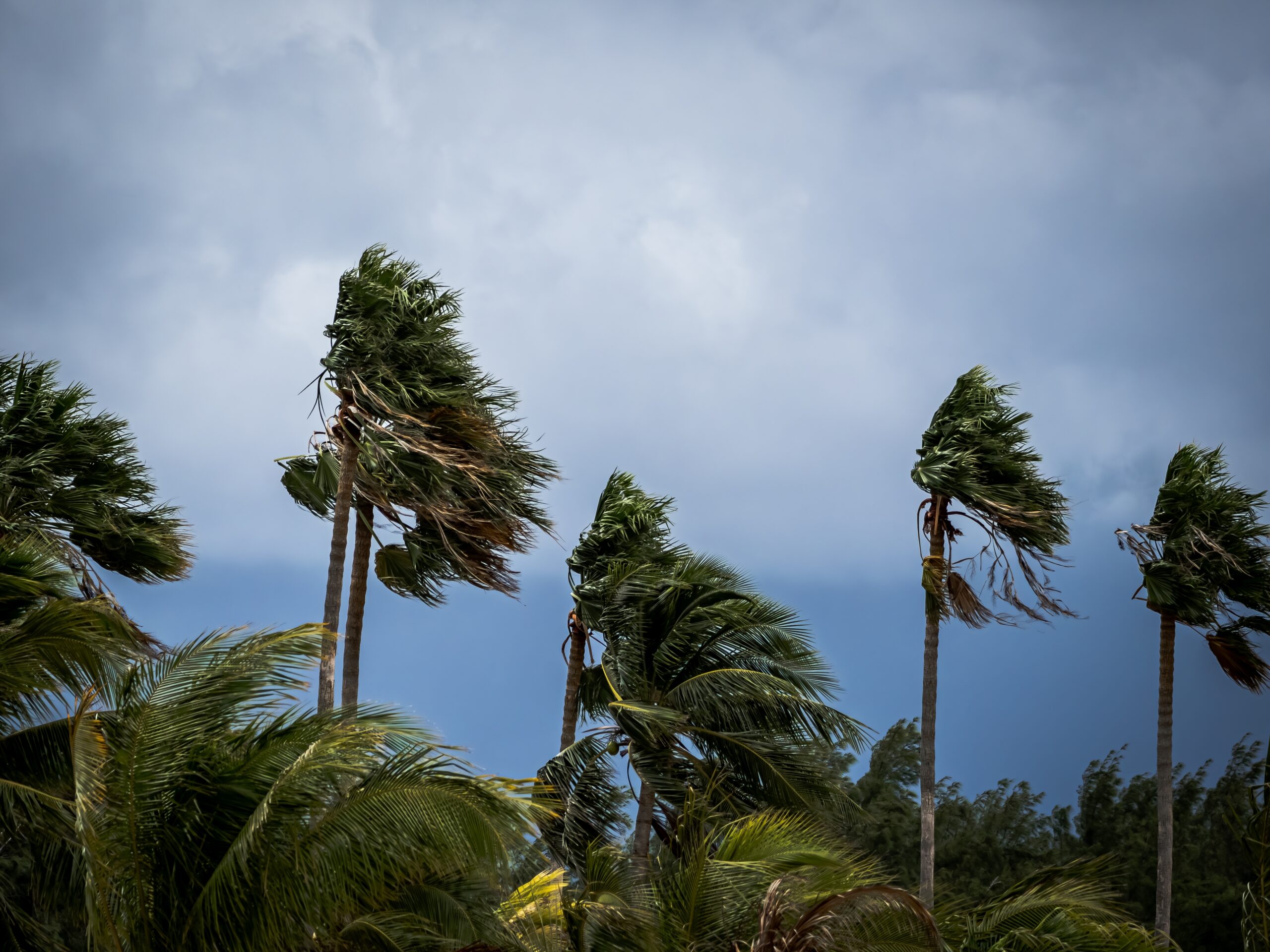 Watch Vs. Warning: Understanding Forecasts and Weather Awareness Tips ...